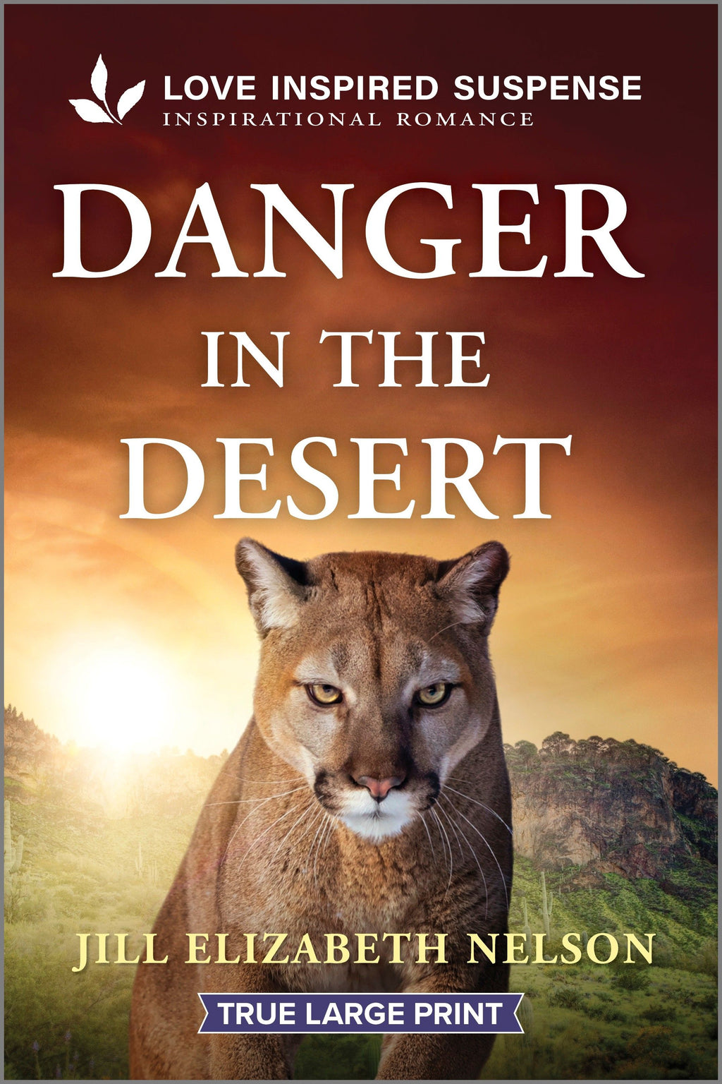 Danger in the Desert – Epic Reads